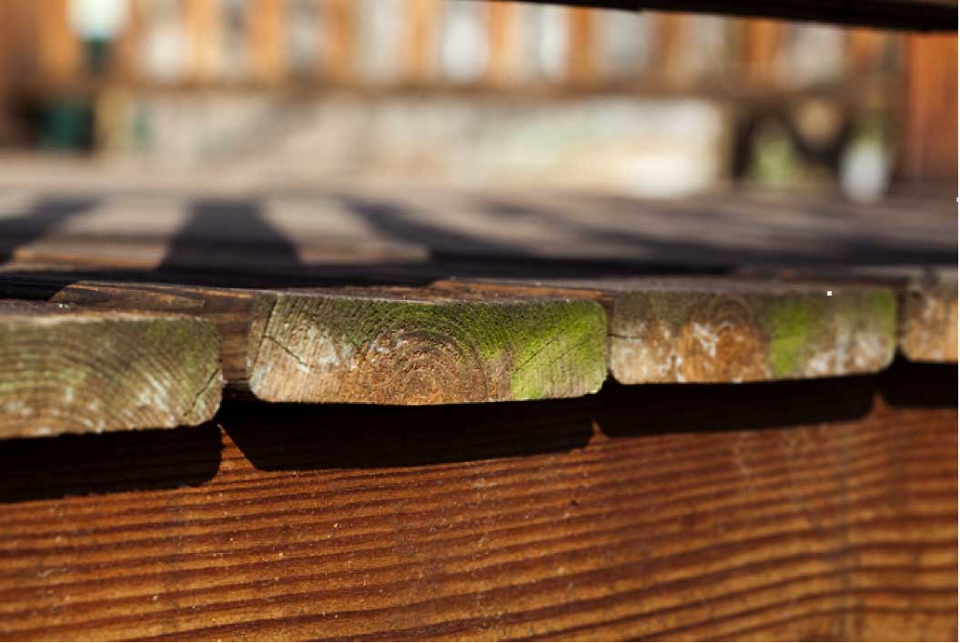 Wood Decay and The Importance of Wood Stain