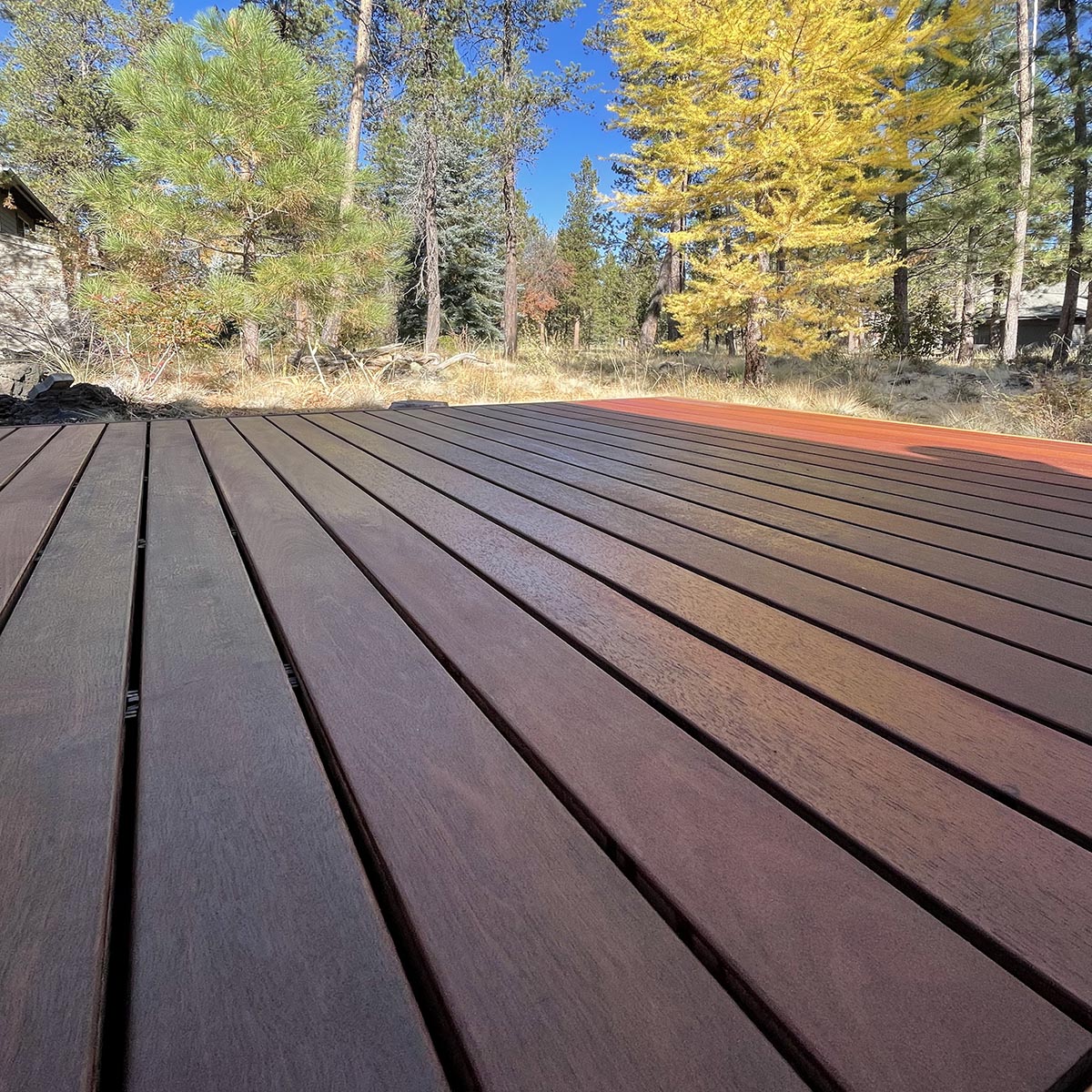 What are the best alternatives to Ipe for hardwood decking?