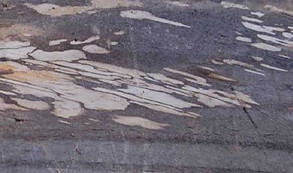 Wood Decay and The Importance of Wood Stain