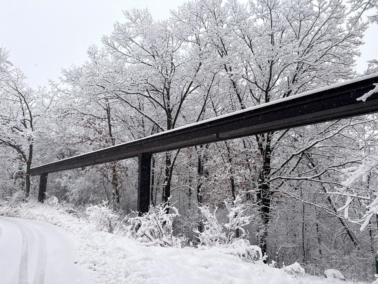 ExoDek QuickClips in the Treetop Trail: A Pathway to Nature