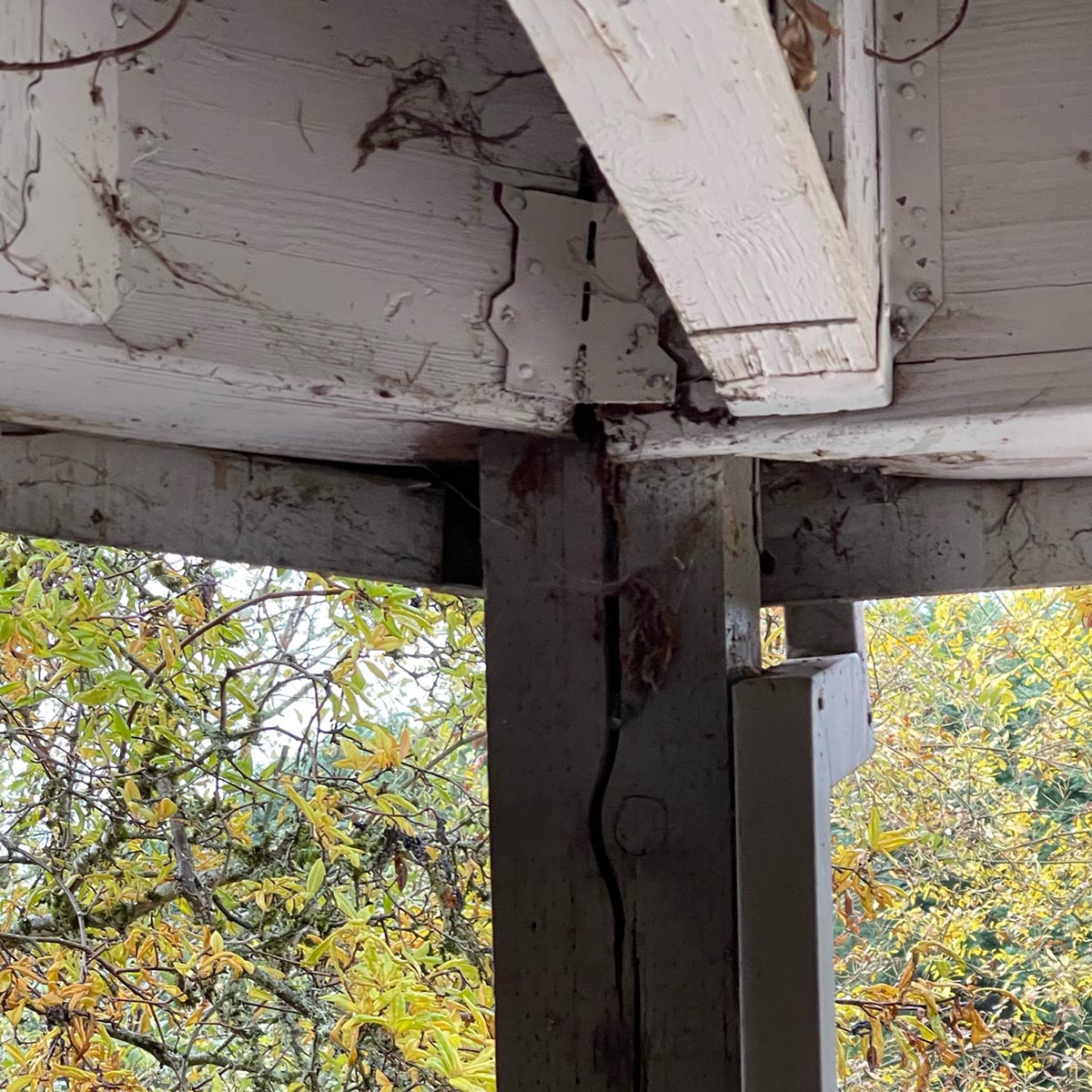 The Official Nova USA Wood Products Blog