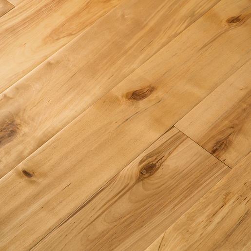 Birch Hardwood Technical Species Information