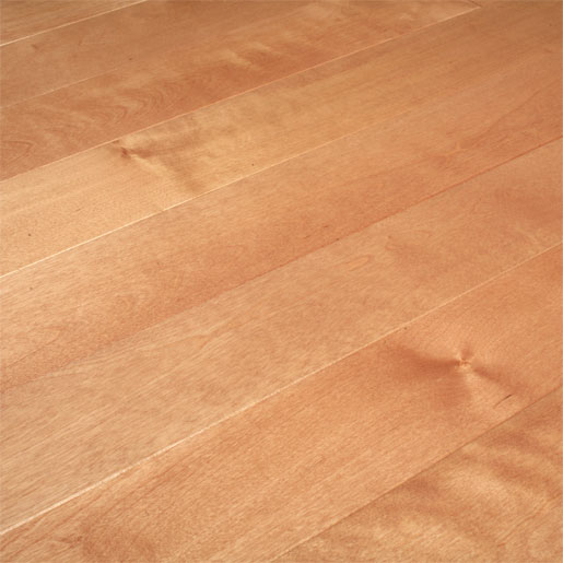 Birch Hardwood Flooring Janka | Floor Roma